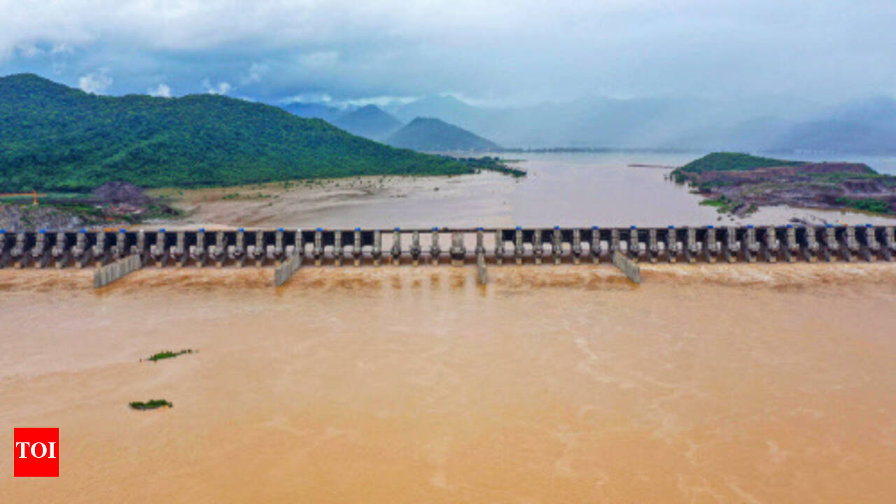 Godavari River Dams River Boards To Manage All Projects: Govt Rejects