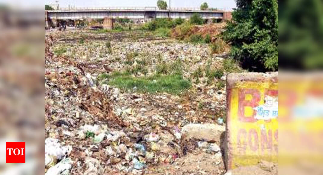 Ludhiana municipal corporation officials told to clean Buddha Nullah in ...