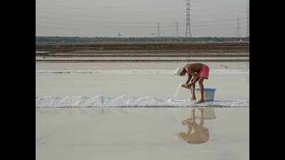 Andhra Pradesh: Salt cultivation needs a boost from Centre ...