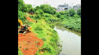 Gujarat: Vishwamitri river clean-up destructive, claim activists ...