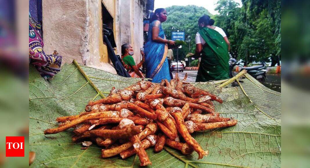 Goa: With no checks in place, mushroom sales hit new high | Goa News ...
