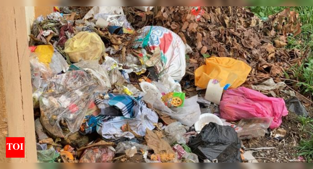 Garbage dumps back to stain Indore's Swachhscape | Indore News - Times ...