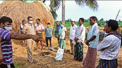 Andhra Pradesh: Hamlets test chilli smoke method to keep tuskers away ...