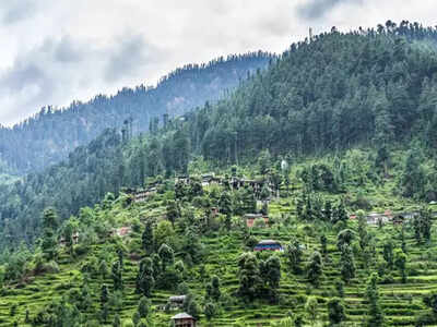 Demand for forest land rights in Himachal Pradesh | Shimla News - Times ...