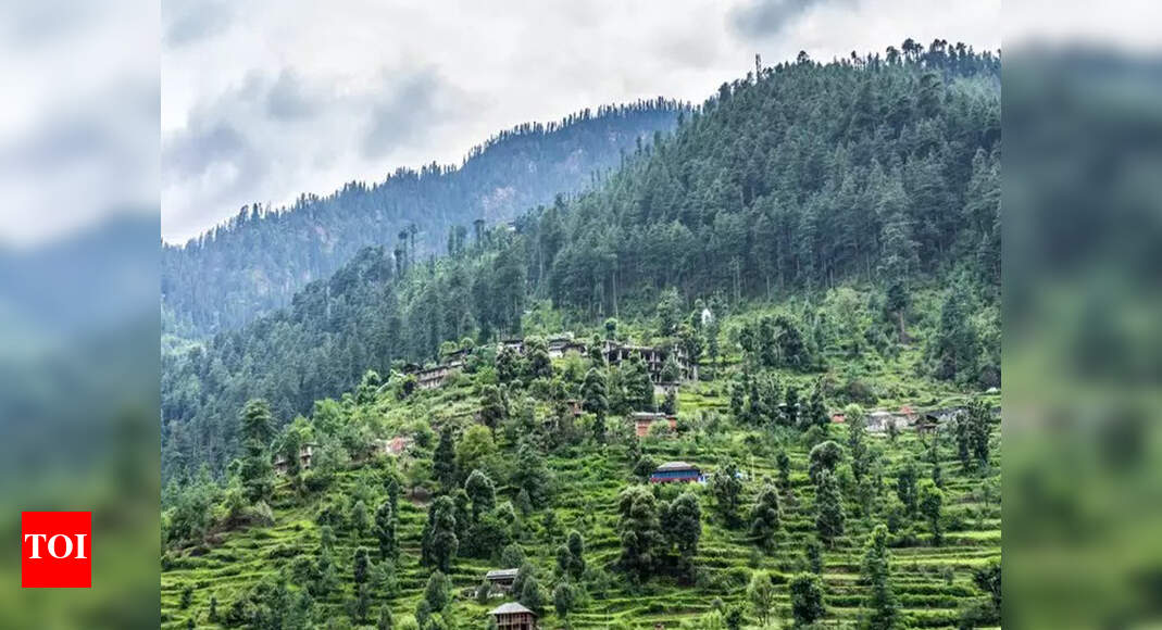 Demand for forest land rights in Himachal Pradesh | Shimla News - Times ...