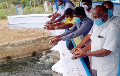 Kalingarayan canal shutters opened for irrigation | Erode News - Times ...