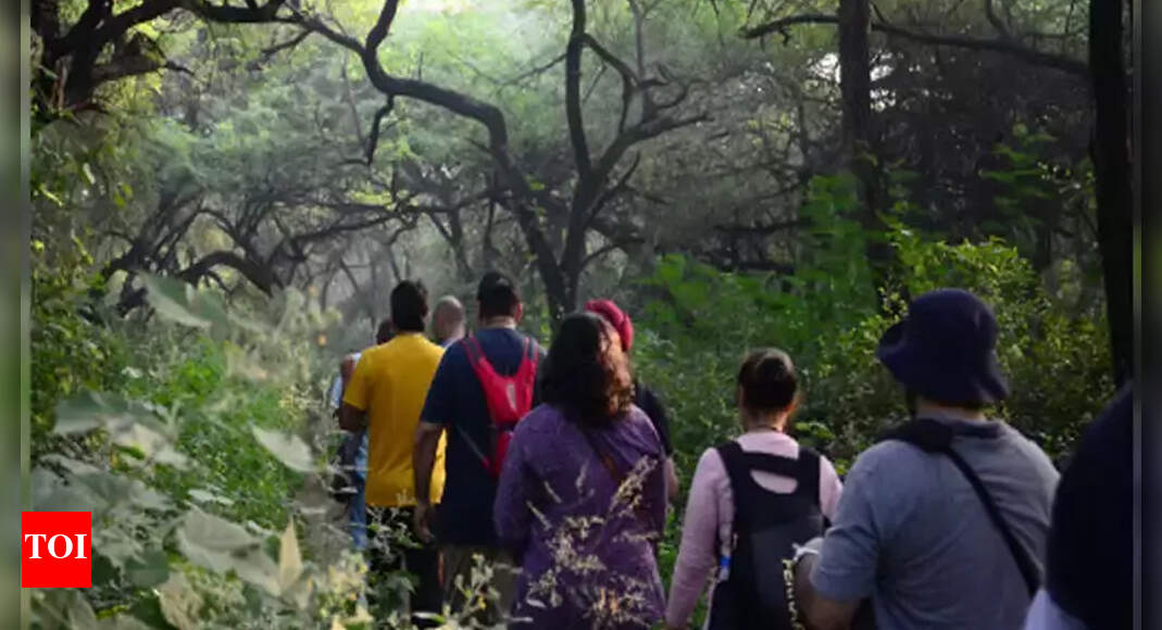 70% of Delhi’s Southern Ridge to be a ‘forest’ | Delhi News - Times of ...