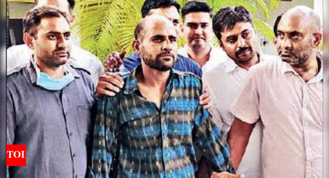 Vegetable vendor held in Udaipur murder case | Udaipur News - Times of ...