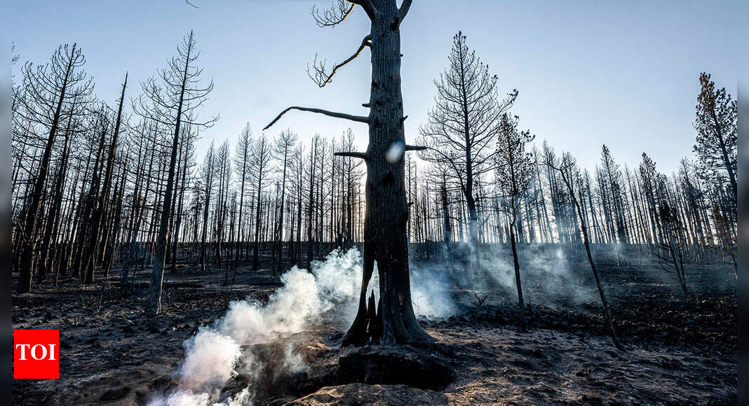 Oregon Wildfires: Western wildfires grow, but better weather helps ...