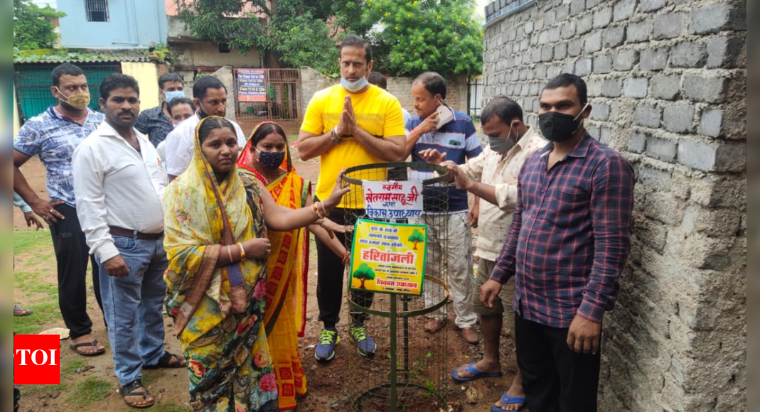 Chhattisgarh Congress Mla Goes On Memory Plantation Drive For Lives