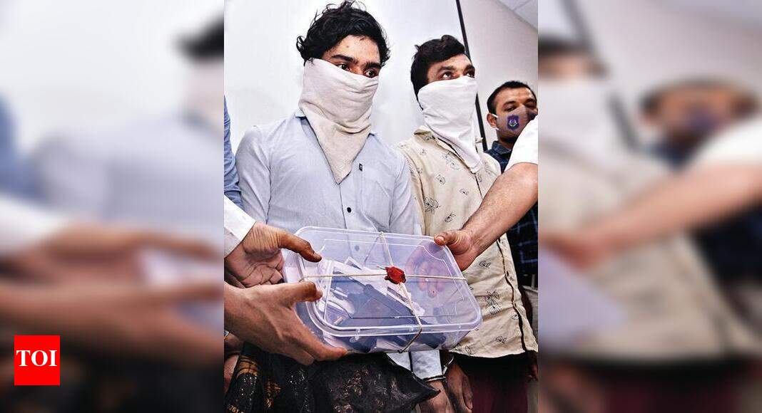 D-gang is 2 ‘disgruntled’ staffers! | Surat News - Times of India