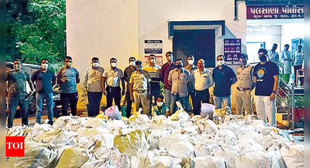 1,142 kg ganja worth Rs 1 crore seized in Surat | Surat News - Times of ...