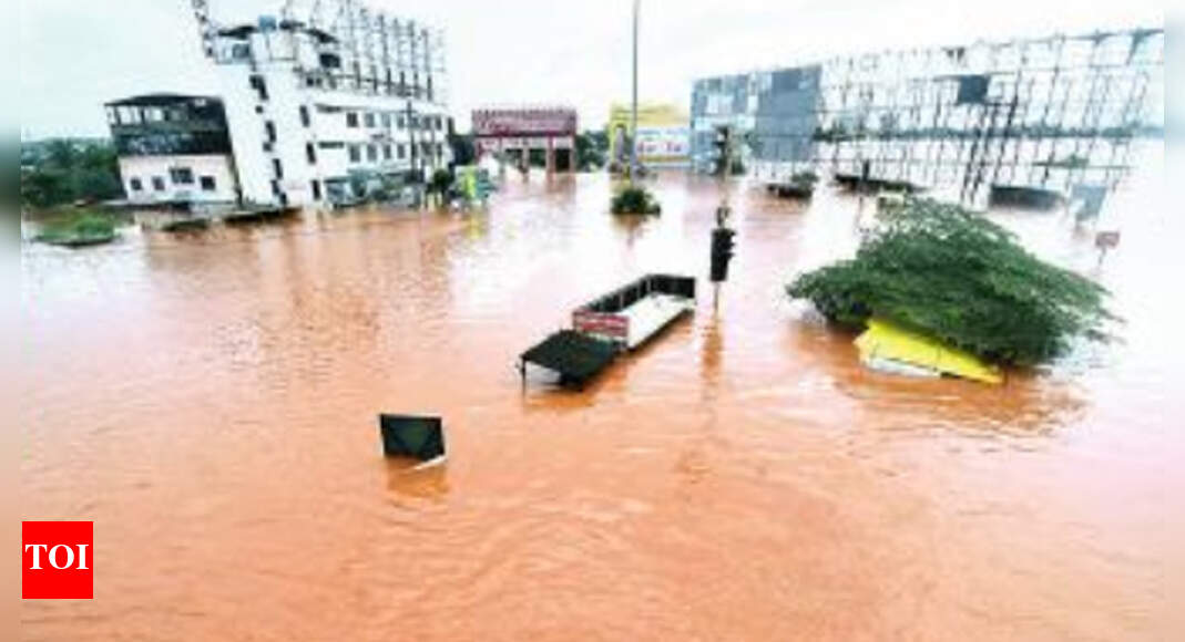 Floods cause crop losses on 1.5 lakh hectares in Maharashtra | Pune ...