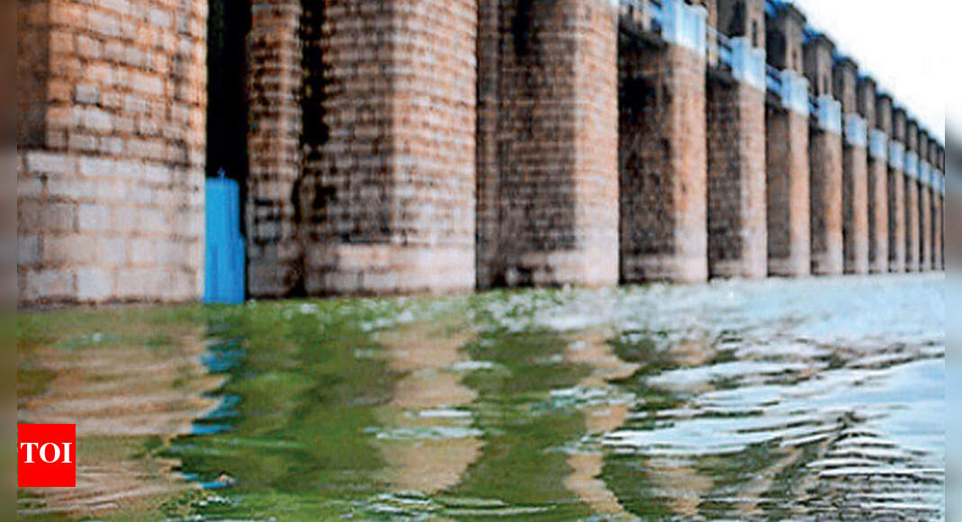 Manjira, Singoor reservoirs close to FTL | Hyderabad News - Times of India