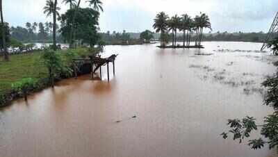 Cong demands compensation, groceries for flood-affected | Goa News ...