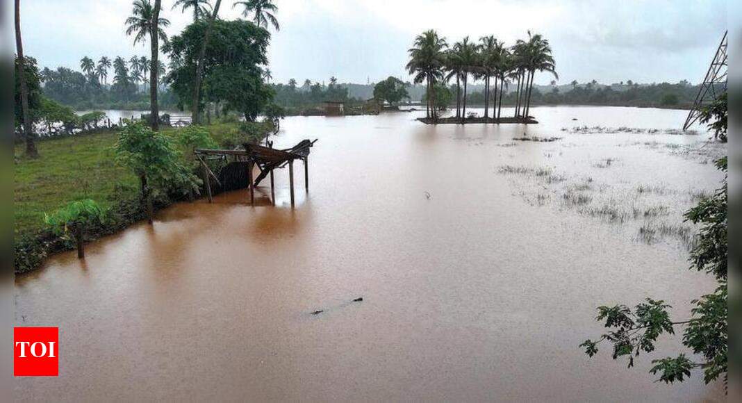 Cong demands compensation, groceries for flood-affected | Goa News ...