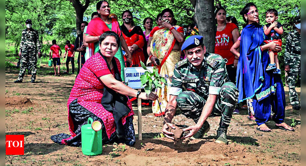 Peepal for east, amla for west: 193 villages in Gurugram set to get ...