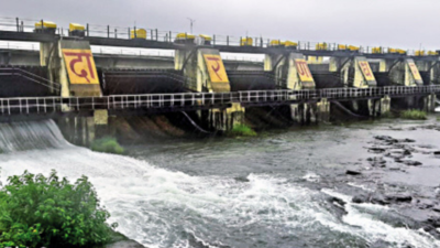 Nashik: Gangapur complex storage reaches 51% | Nashik News - Times of India