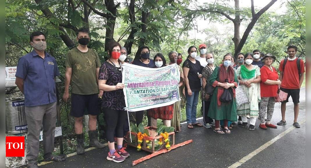 Navi Mumbai: Women scientists, citizens plant mangrove saplings at ...