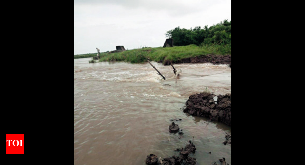 Tidal waves breach embankments, destroy agri lands | Cuttack News ...