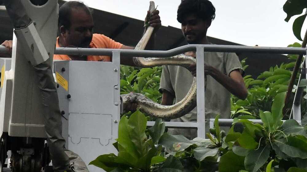 Mumbai News in Photos: Top stories on July 27, 2021 | The Times of India