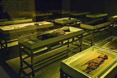 Chile's ancient mummies added to UN heritage list - Times of India