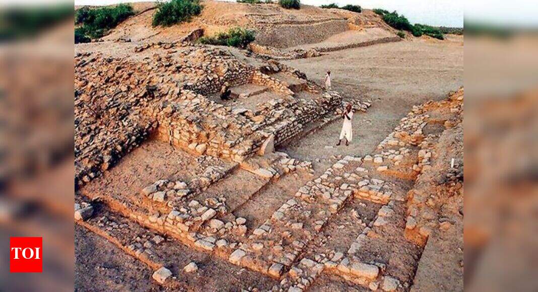 Unesco tags Dholavira World Heritage Site | India News - Times of India