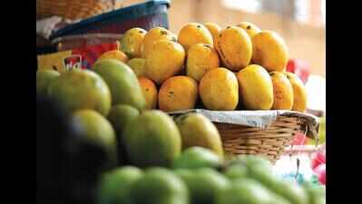 State starts process to get Geographical Indication tag for three Goan ...