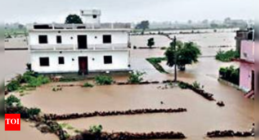 Madhya Pradesh: Flooded rivers cut off Sheopur from rest of the world ...
