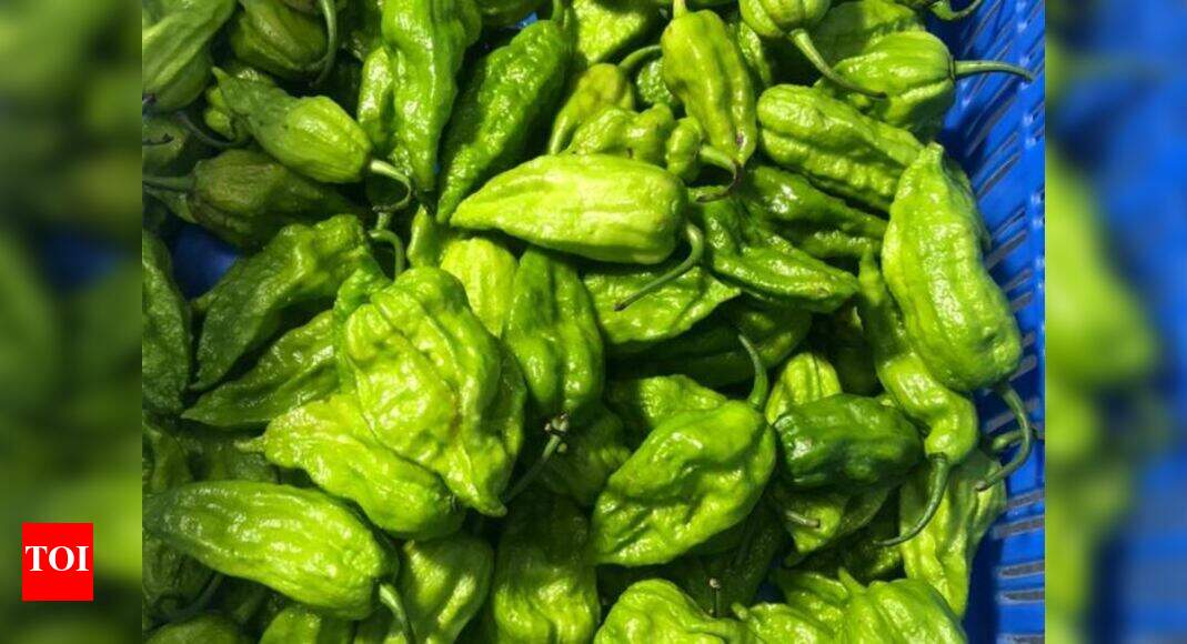 Nagaland’s famous Bhoot Zolokia chillies make their way to London ...