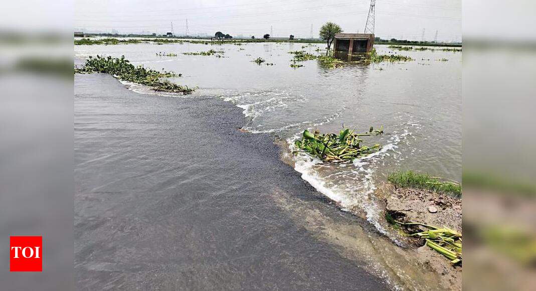 Gurugram’s major drains flood over 12,000 acres of agri land: Farmers ...
