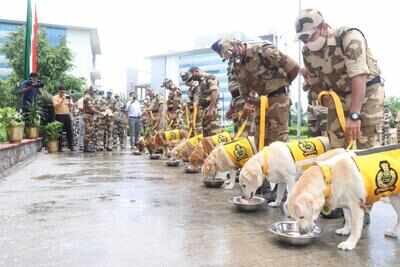 Delhi: CISF bids adieu to 7 dogs with meals and medals | Delhi News ...