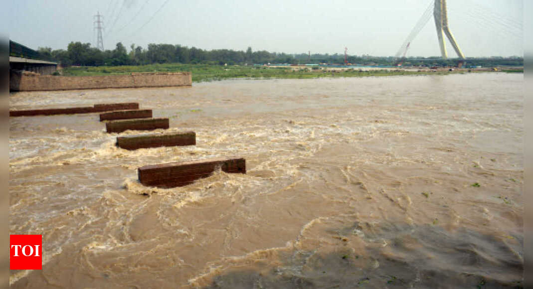 Delhi: Yamuna water level recedes below danger mark | Delhi News - Times of India
