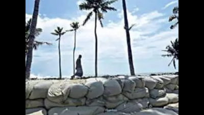Kerala: Chellanam seawall project gets nod | Kochi News - Times of India