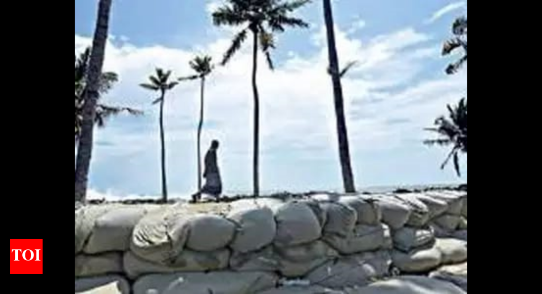 Kerala: Chellanam seawall project gets nod | Kochi News - The Times of ...