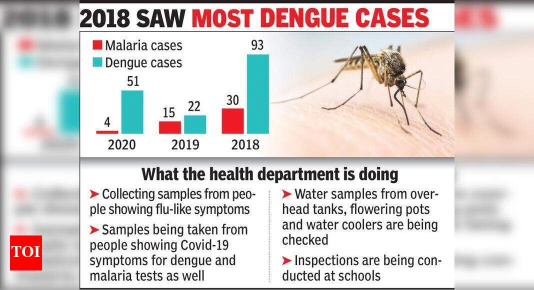 Flu centres will keep an eye on dengue, malaria | Gurgaon News - Times ...