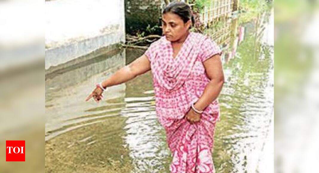 West bengal: Transgender turf war claims one in Nimta | Kolkata News ...