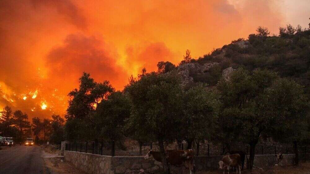 In pics: Turkey's week-long battle with wildfires, 10,000 evacuated ...