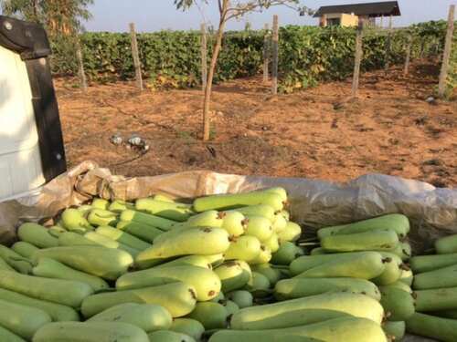 Prakash Raj Farmhouse