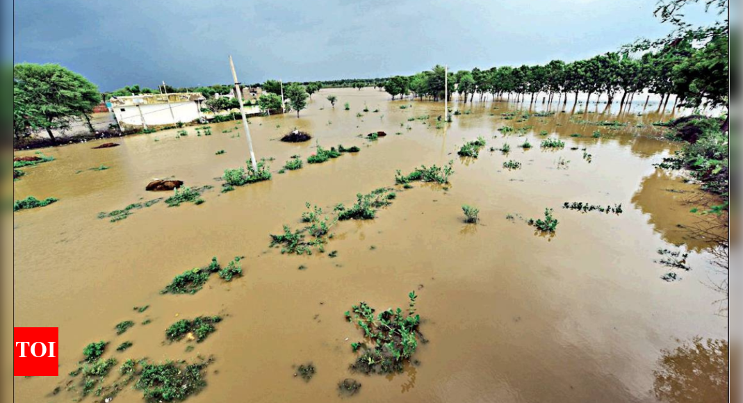Rain havoc in Jaipur, Dholpur & Baran districts | Jaipur News - Times ...