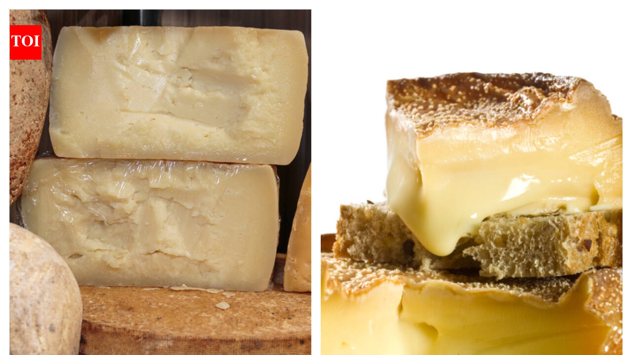 Casu Marzu is considered world's most dangerous cheese and here's why