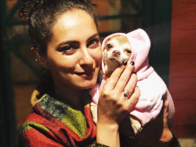Lavina Tandon: I can't stay alone so I may take my pet to the sets of ...