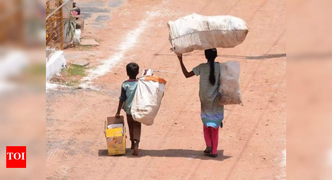 Allocations under National Child Labour Project dip by less than half ...