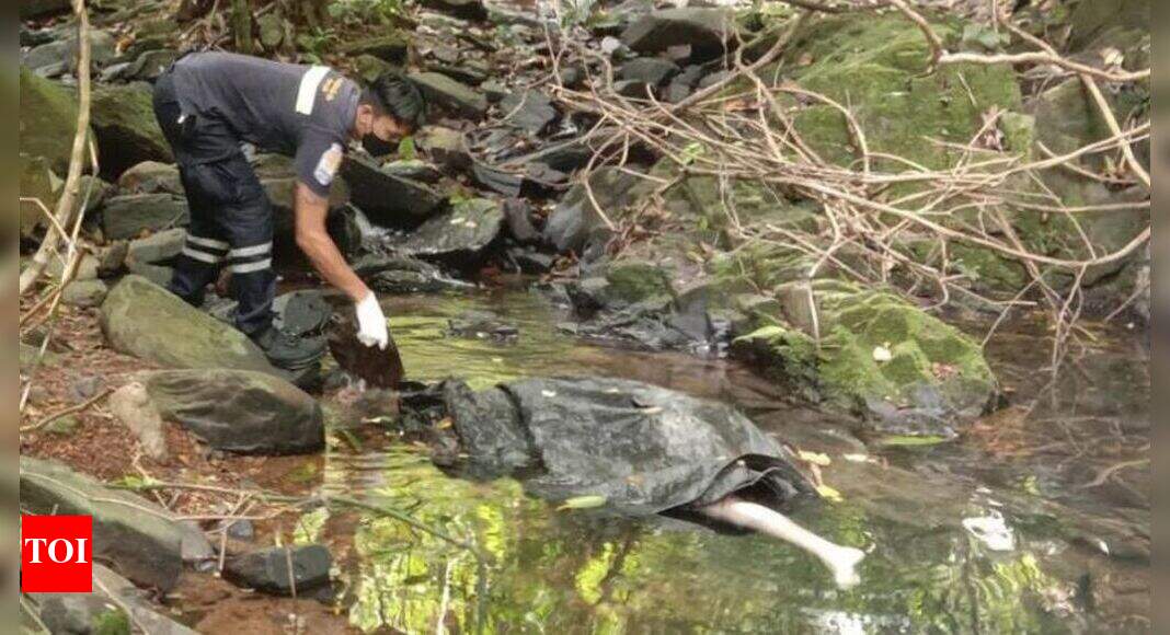 Thai police probe death of Swiss woman found near waterfall - Times of ...