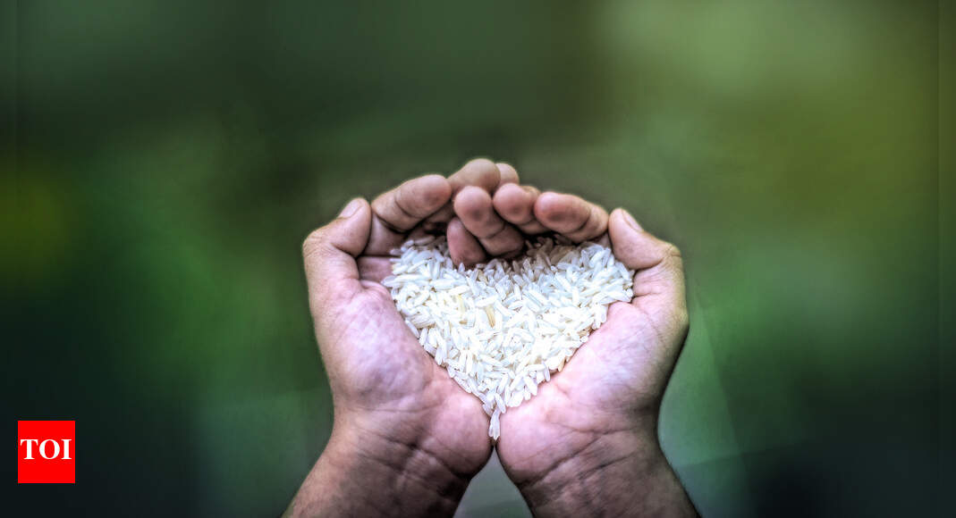 Why 815 million go hungry despite enough for everyone to eat - Times of ...