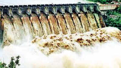 Telangana government to raise earlier tribunal decisions at river board ...