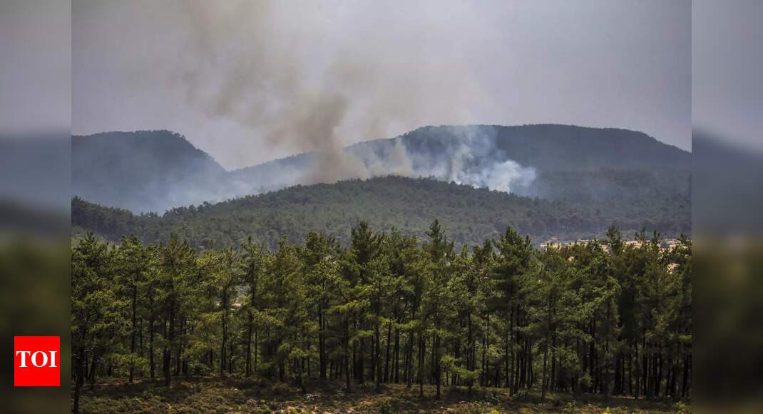 #HelpTurkey: Hashtag sparks culture war over Turkish fires - Times of India