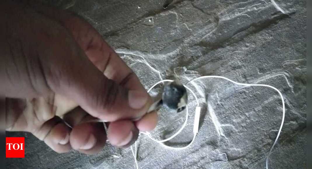 Earphone blast kills 28-year old in Rajasthan | Jaipur News - Times of ...