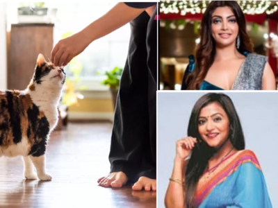 #InternationalCatDay: Pariva Praniti and Akanksha Puri narrate some of ...