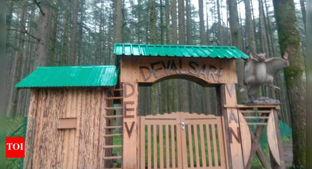 Villagers of Devalsari upset at concretisation of area due to ...